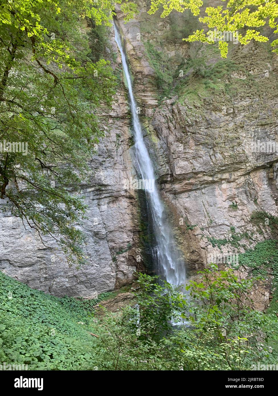 Perućica Forest Reserve in Sutjeska national Park, Bosnia and ...