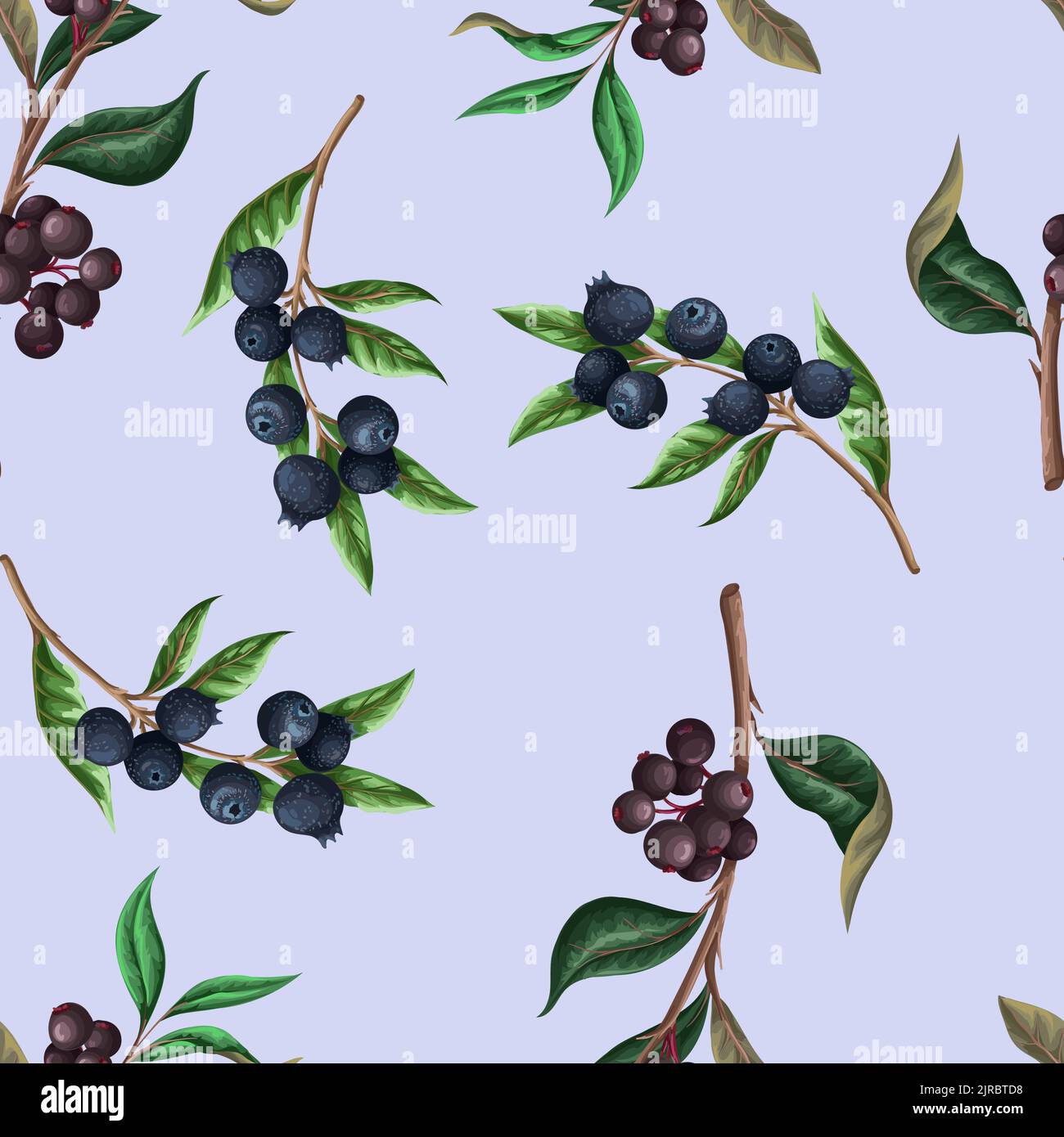 Rowanberry branch pattern Stock Vector Images - Alamy
