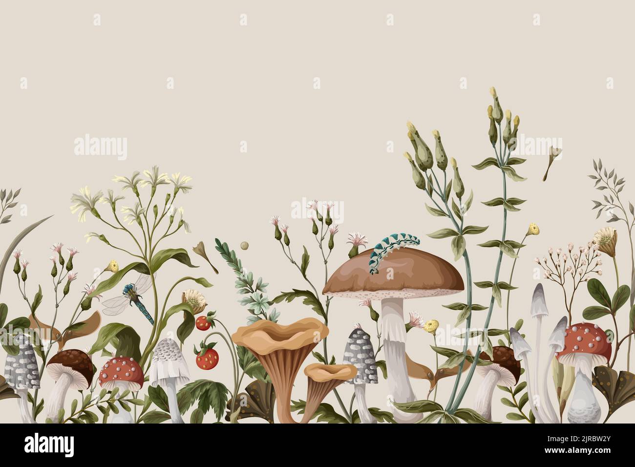 Autumn border with mushrooms, berries and bugs. Natural trendy print ...
