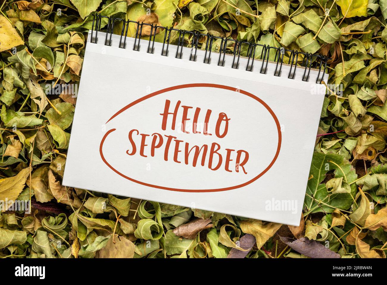Hello September cheerful greeting note - handwriting in a spiral ...