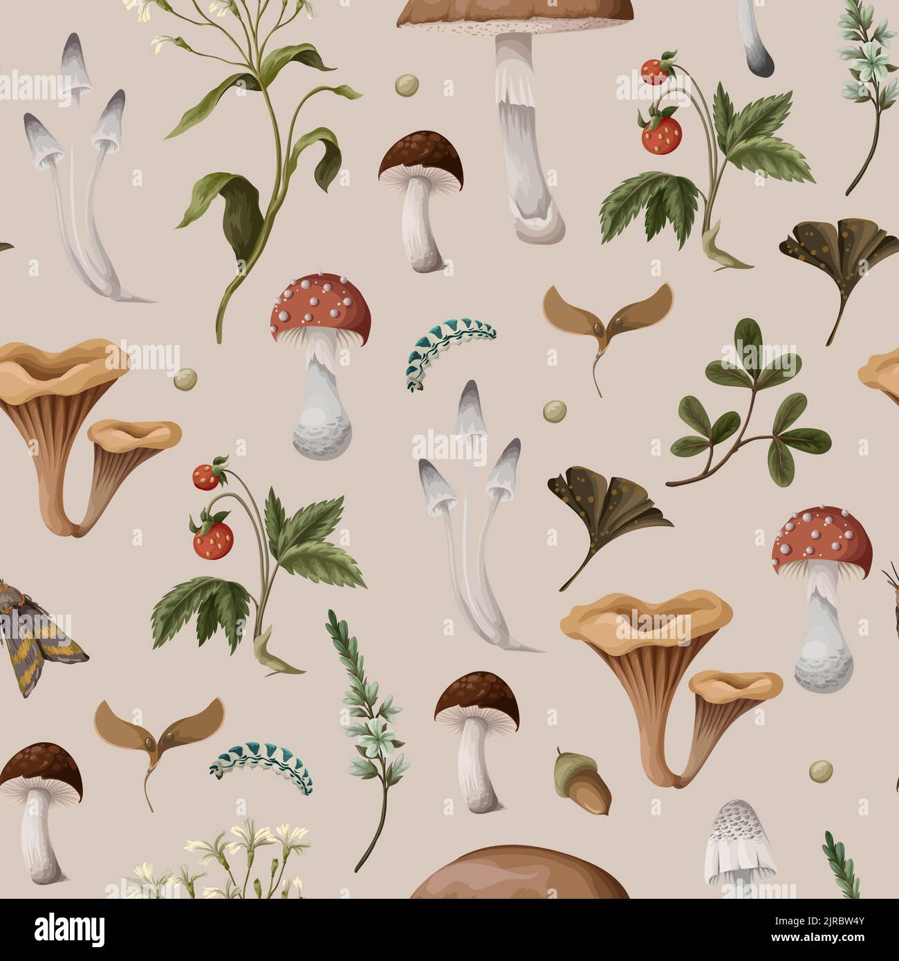 Border design fresh mushroom illustration hi-res stock photography and ...