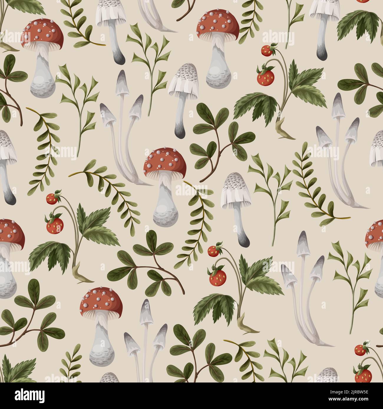 Border design fresh mushroom illustration hi-res stock photography and ...