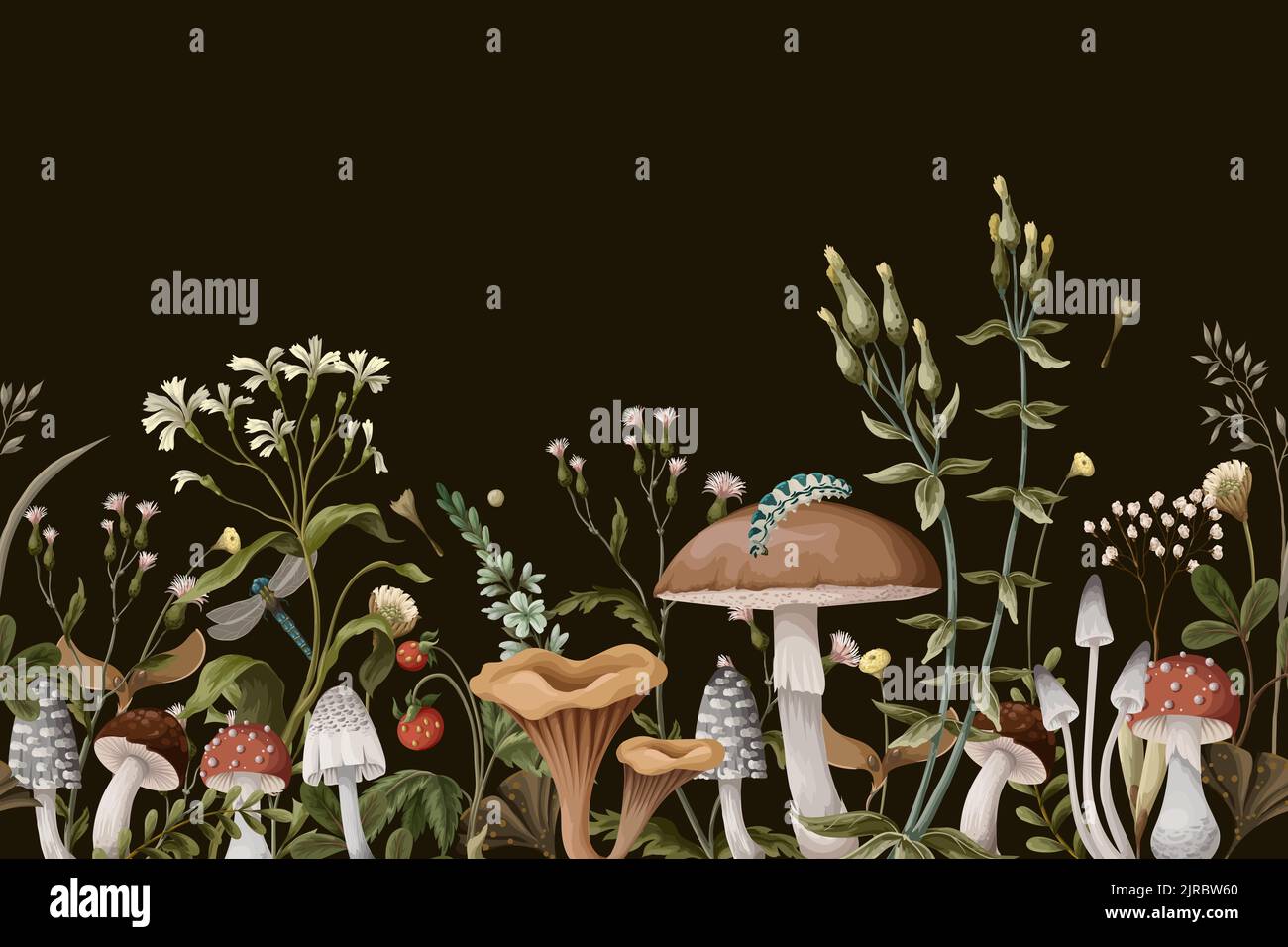 Botanical mushroom Stock Vector Images - Alamy