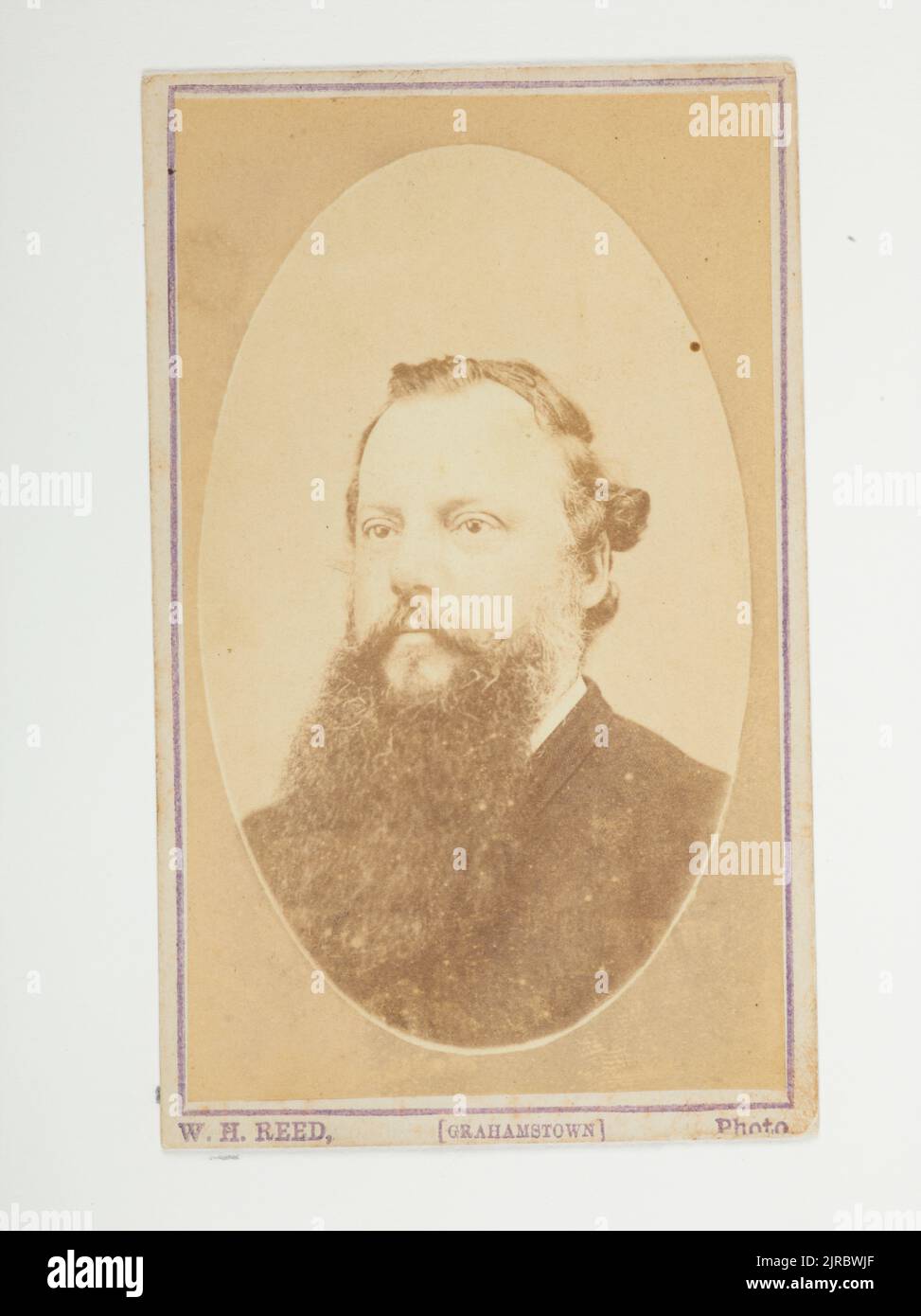 Man with large beard, New Zealand, by William Reed Stock Photo - Alamy