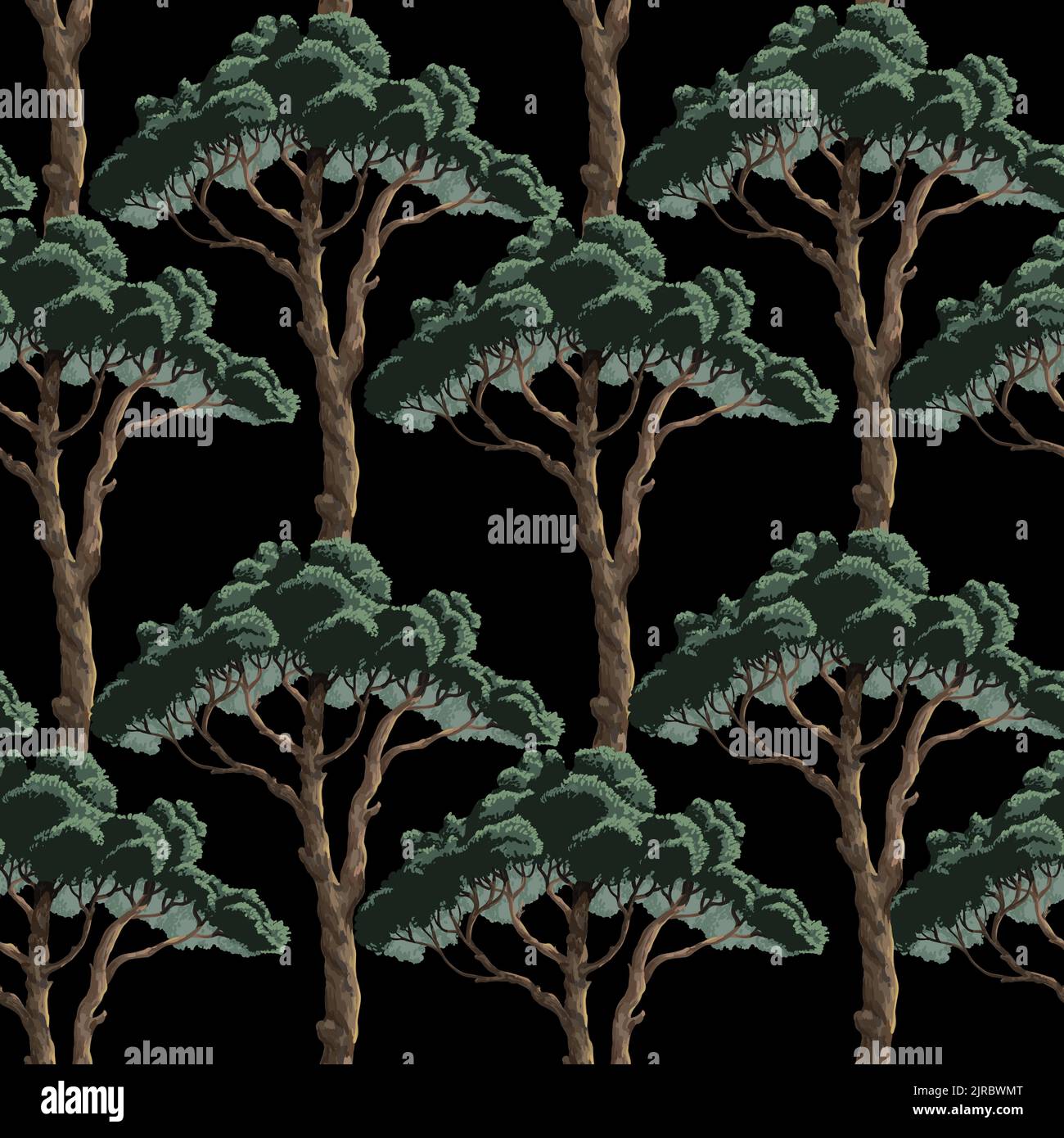 Tropical evergreen forest Stock Vector Images - Alamy