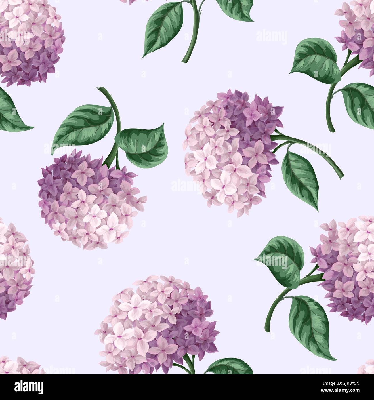 Seamless botanical pattern with pink hydrangeas. Vector Stock Vector ...