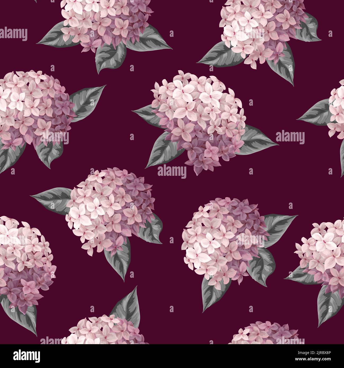 Seamless botanical pattern with pink hydrangeas. Vector Stock Vector ...