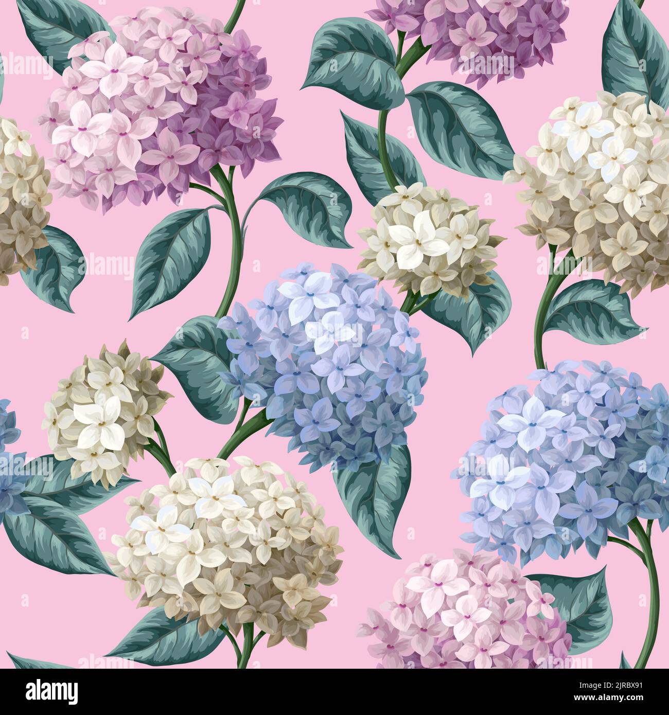 Seamless botanical pattern with hydrangeas. Vector Stock Vector Image & Art - Alamy