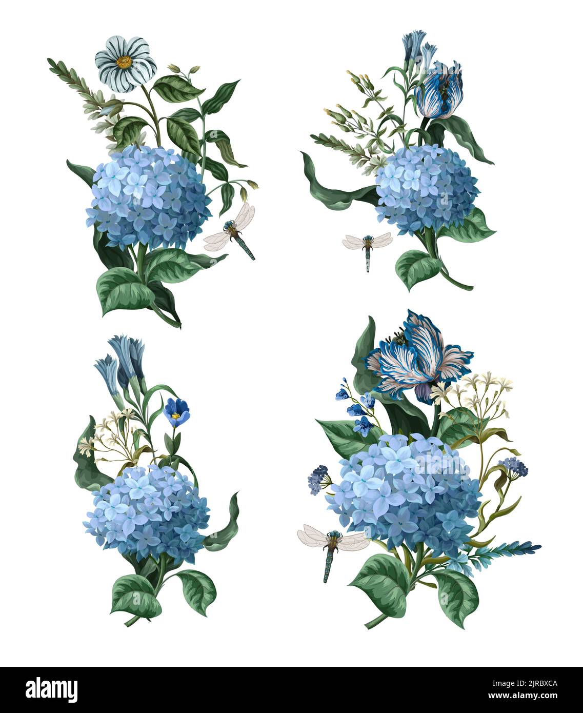 Bouquets with blue hydrangeas and other flowers isolated. Vector Stock ...