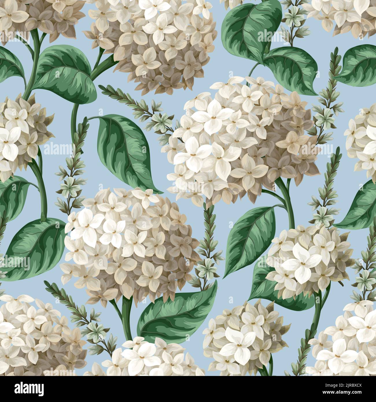 Seamless botanical pattern with hydrangeas. Vector Stock Vector Image ...