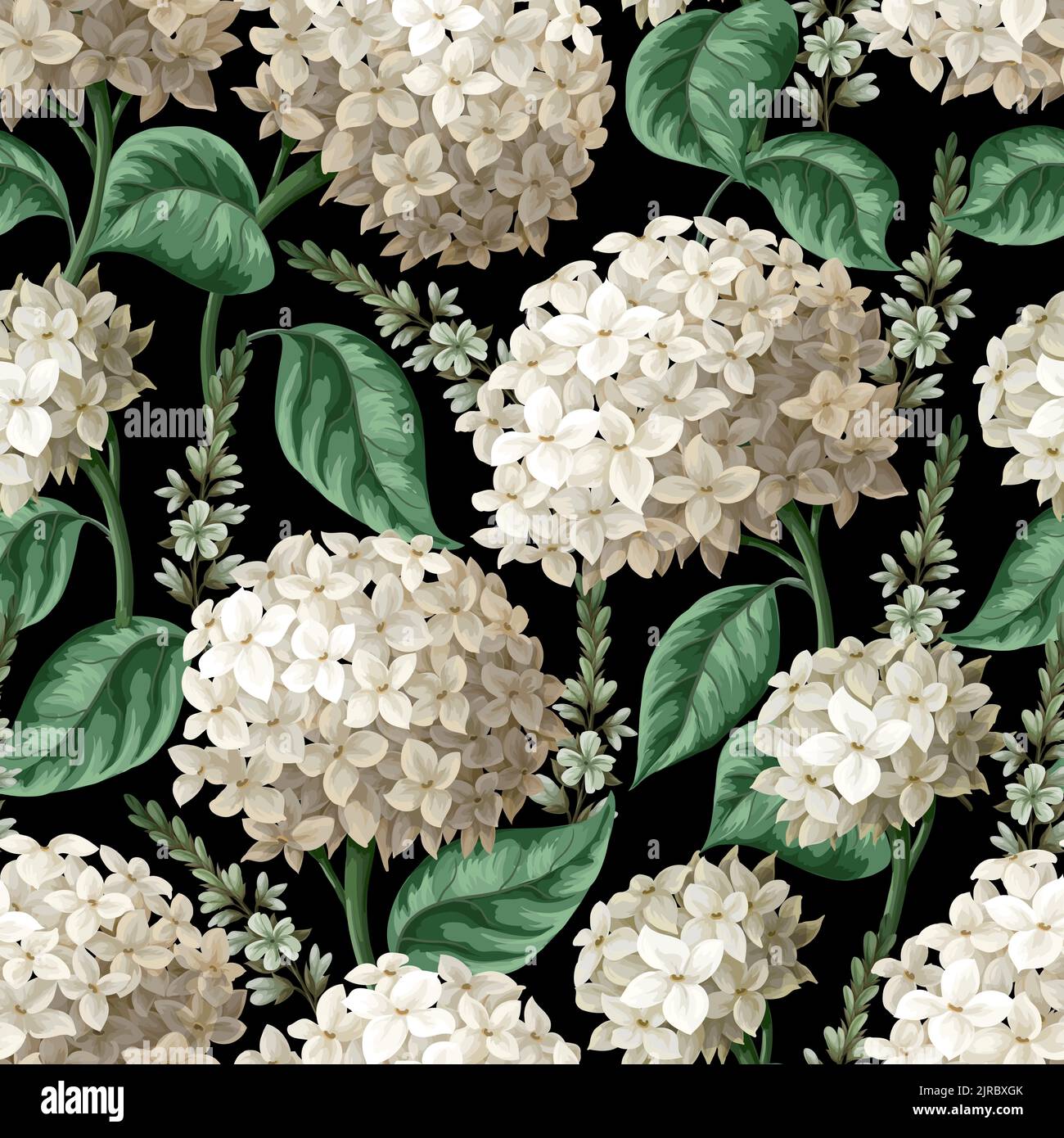 Seamless botanical pattern with hydrangeas. Vector Stock Vector Image ...