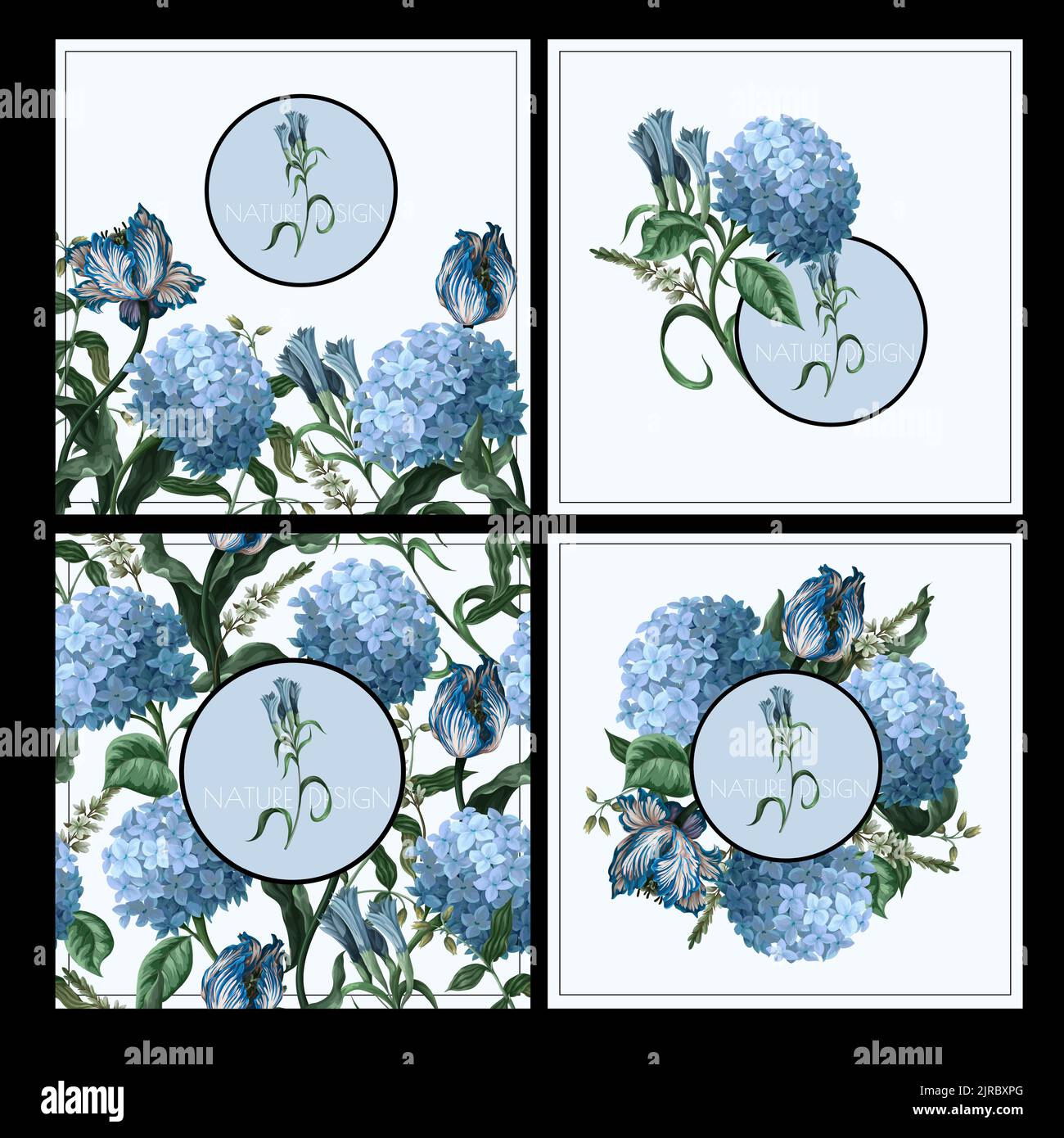 Cards with blue hydrangeas and other flowers isolated. Vector Stock ...