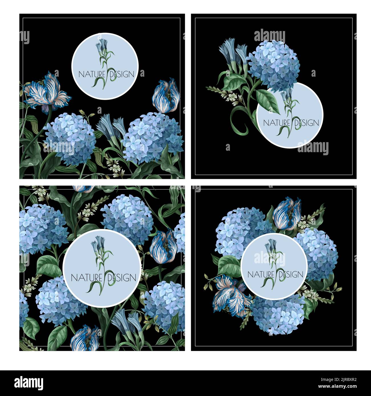 Cards with blue hydrangeas and other flowers isolated. Vector Stock ...