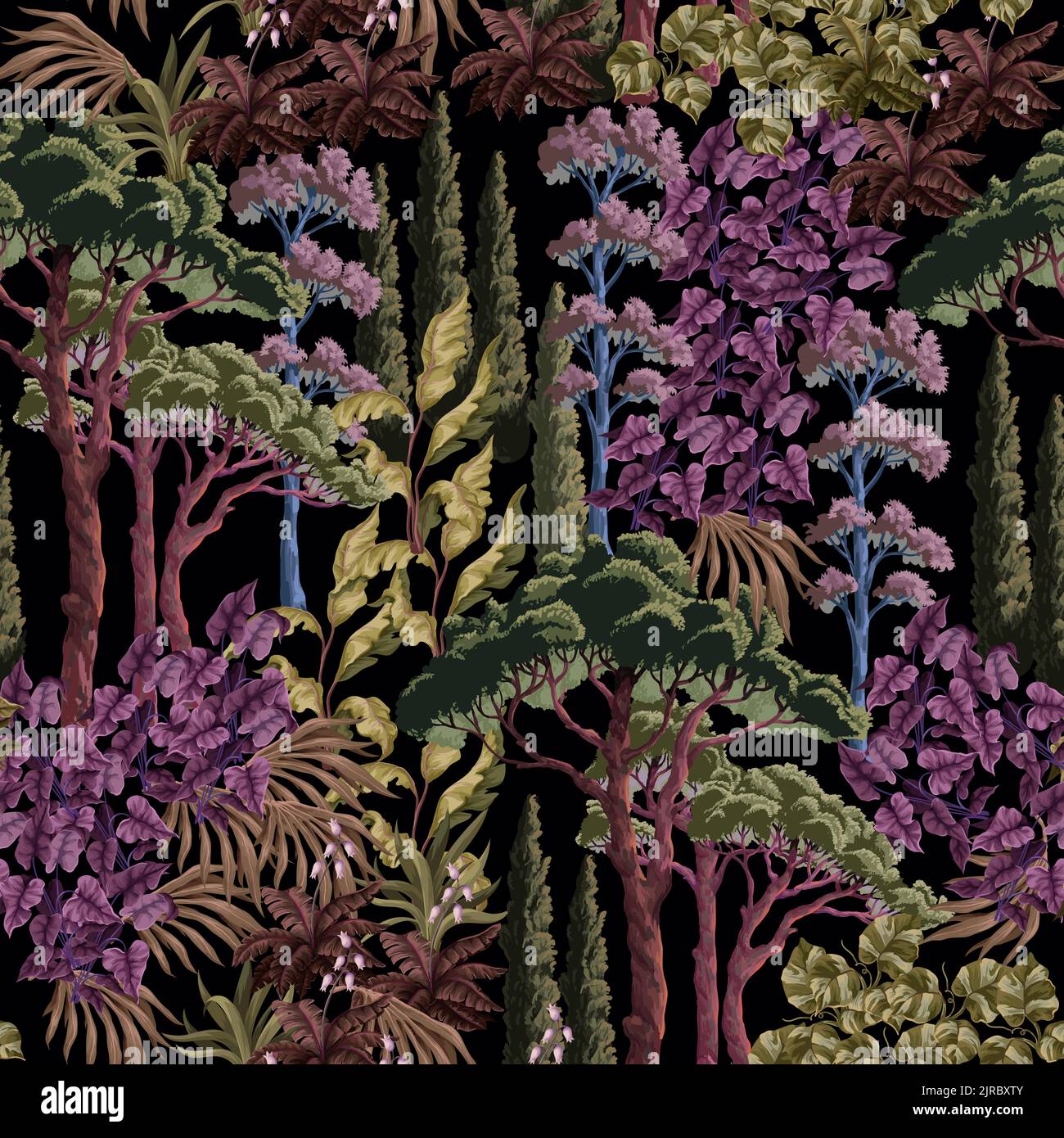 Beautiful evergreen fir trees Stock Vector Images - Alamy