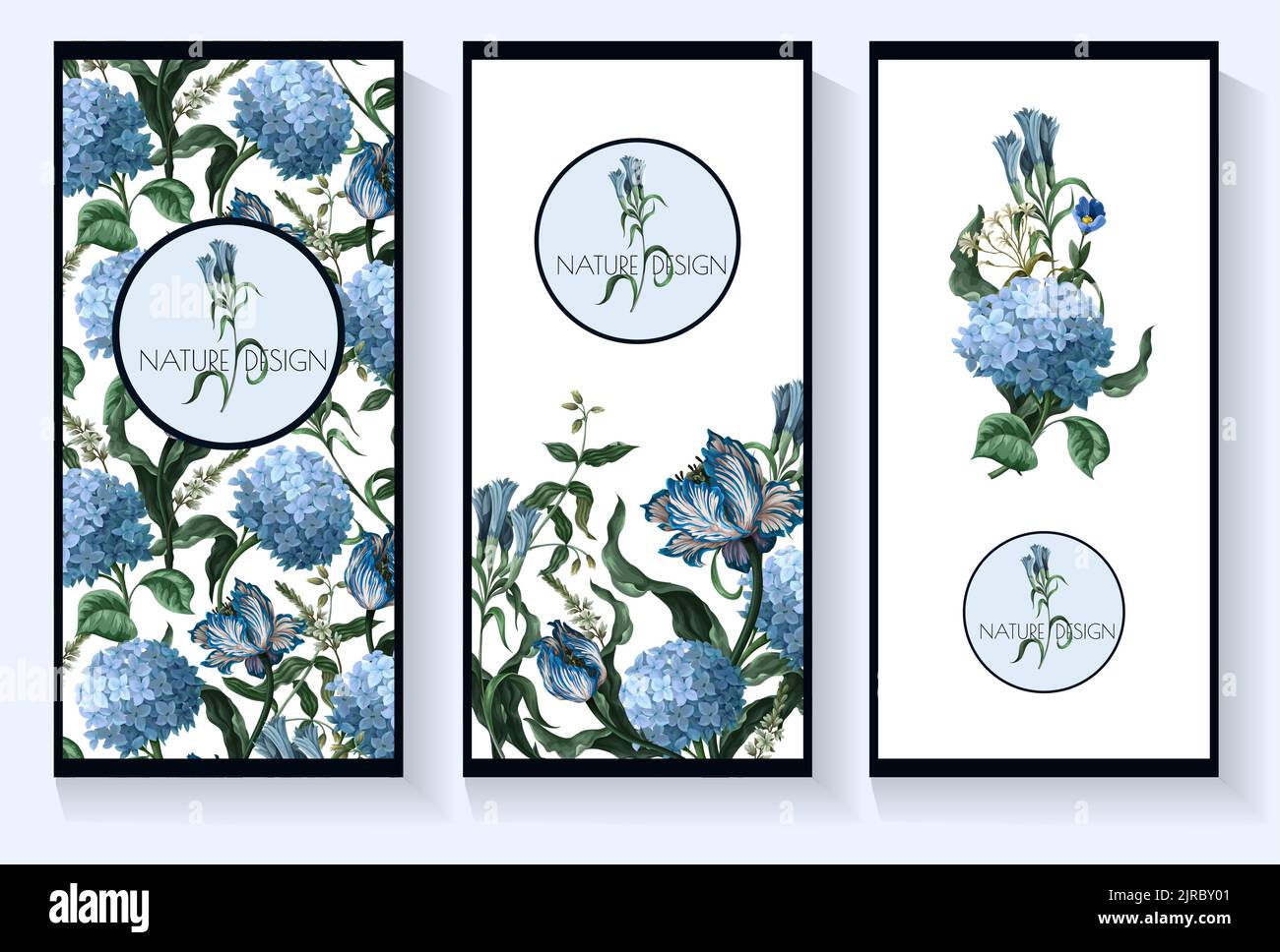 Cards with blue hydrangeas and other flowers isolated. Vector Stock ...