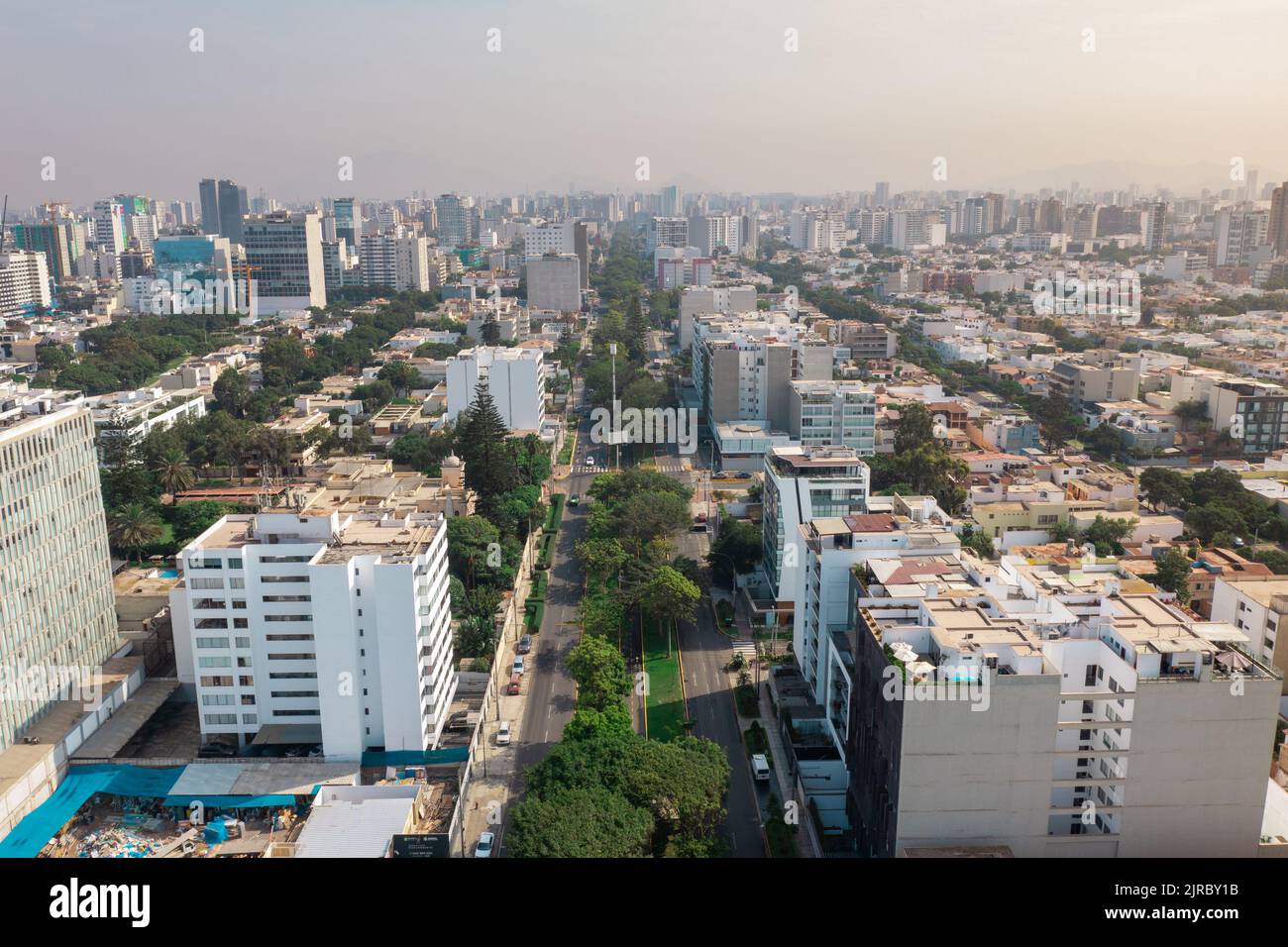 An aerial view of the buildings and trees with a foggy sky background ...