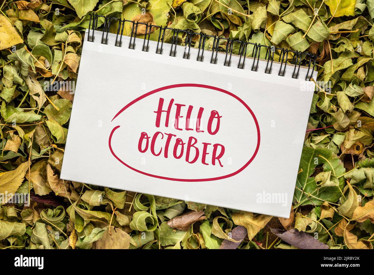 Hello October cheerful greeting note - handwriting in a spiral ...
