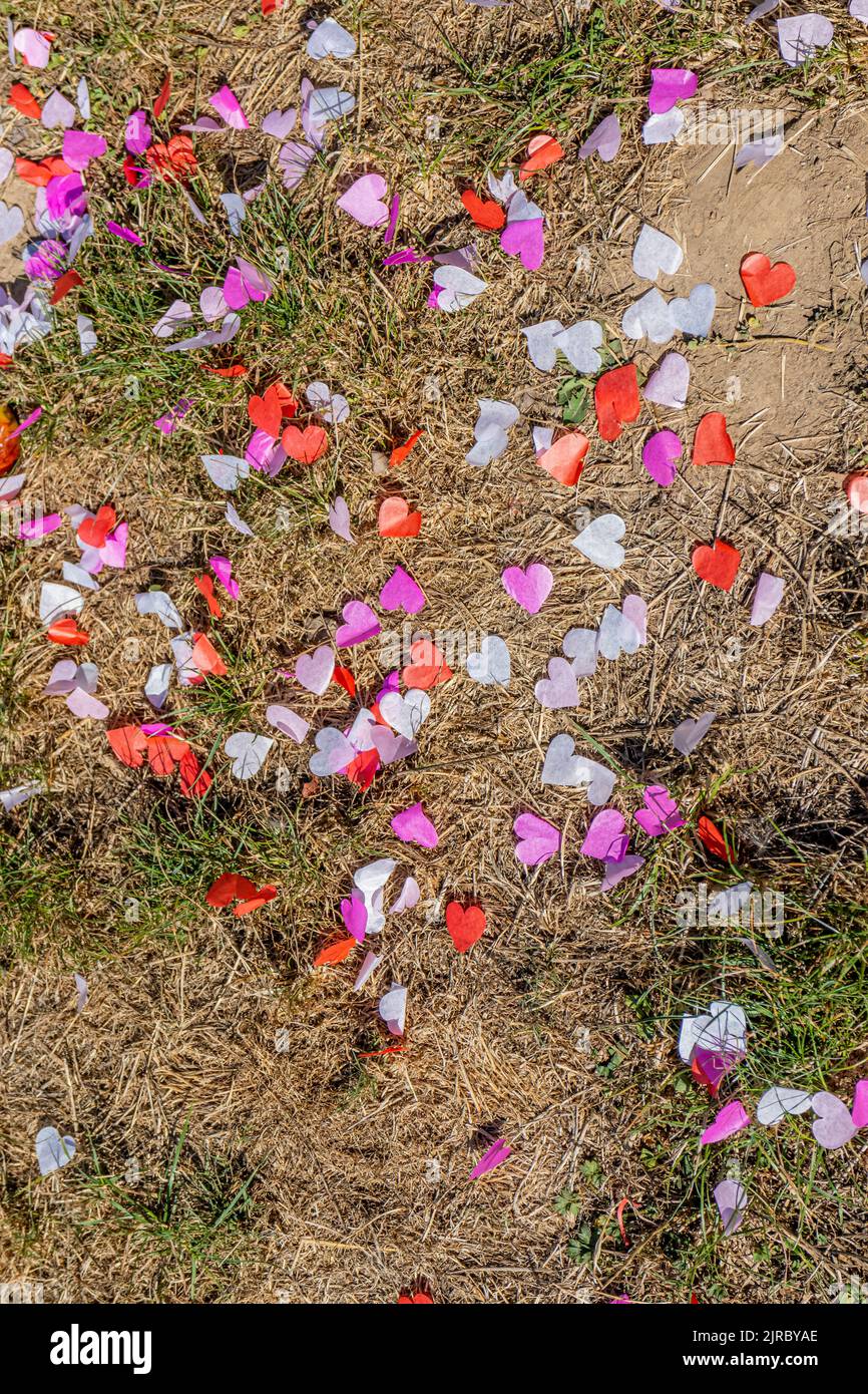 Hearts falling on floor green hi-res stock photography and images - Alamy