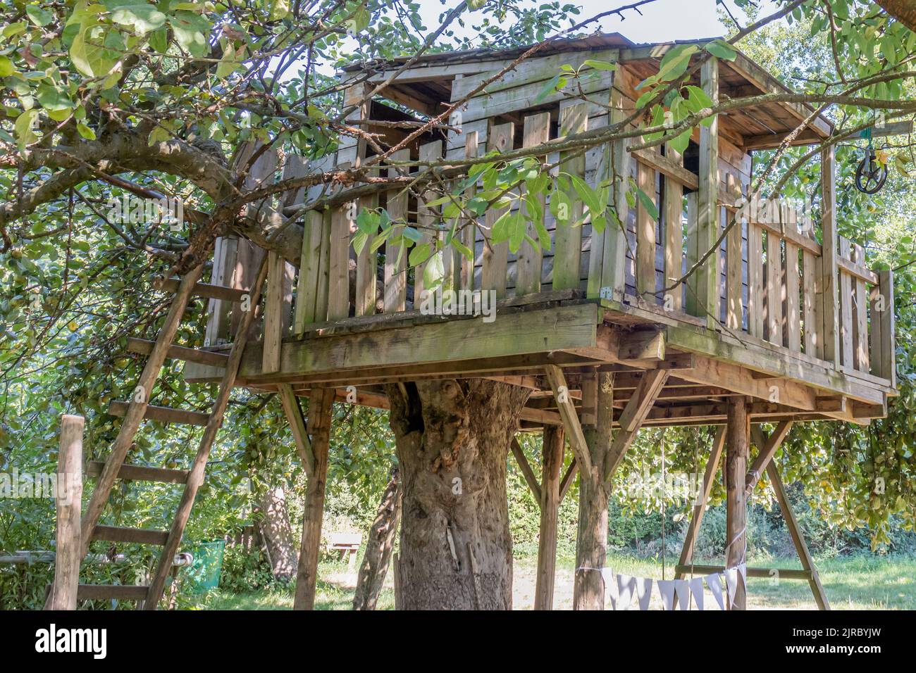 Wooden treehouse built on the trunk of a tree against green foliage in ...