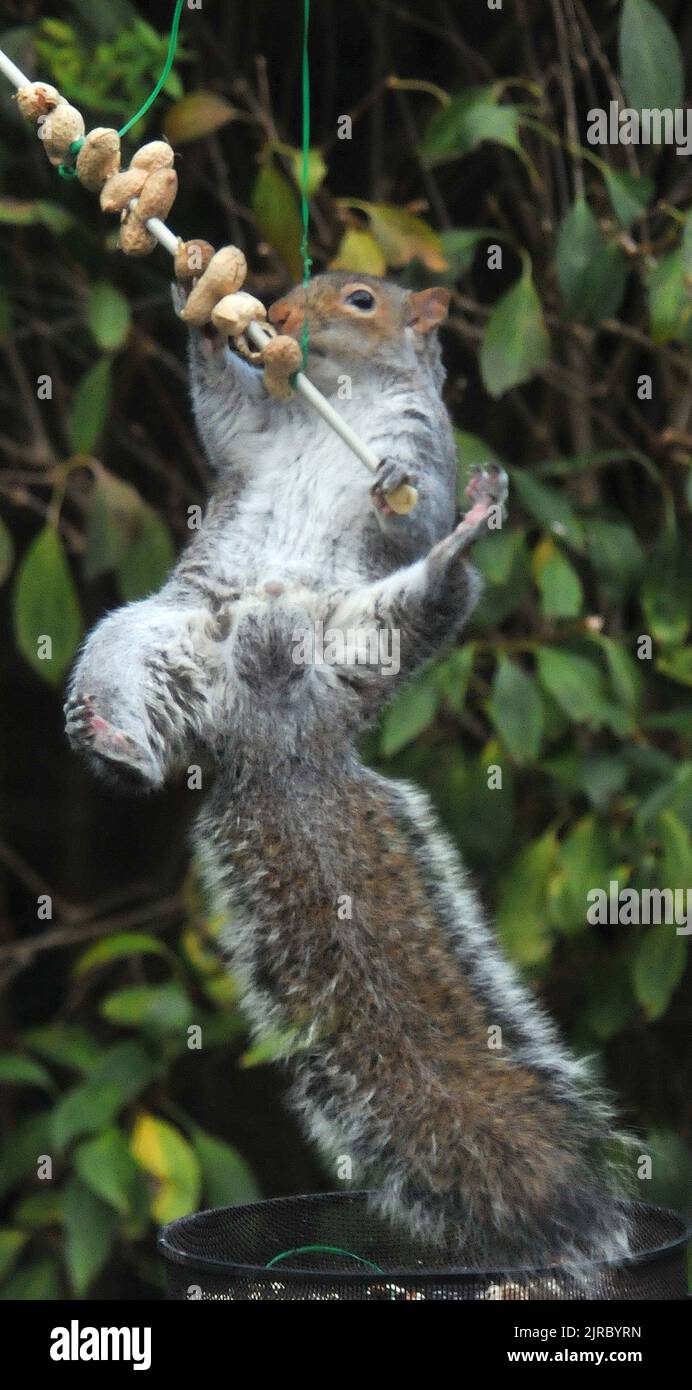 Husband ron hi-res stock photography and images - Alamy