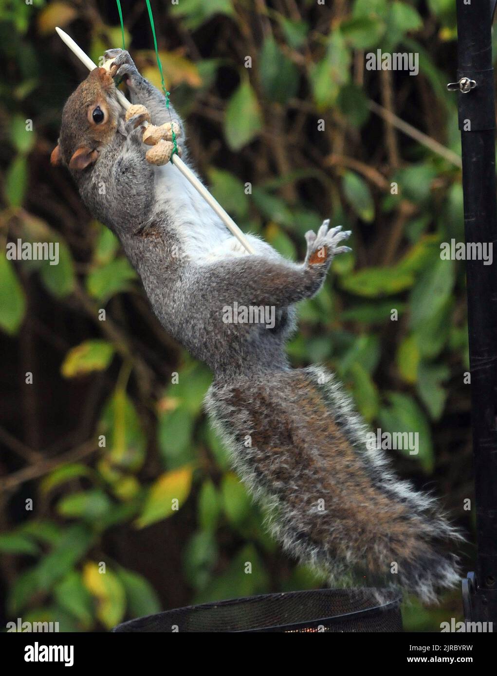 Hang out session hi-res stock photography and images - Alamy