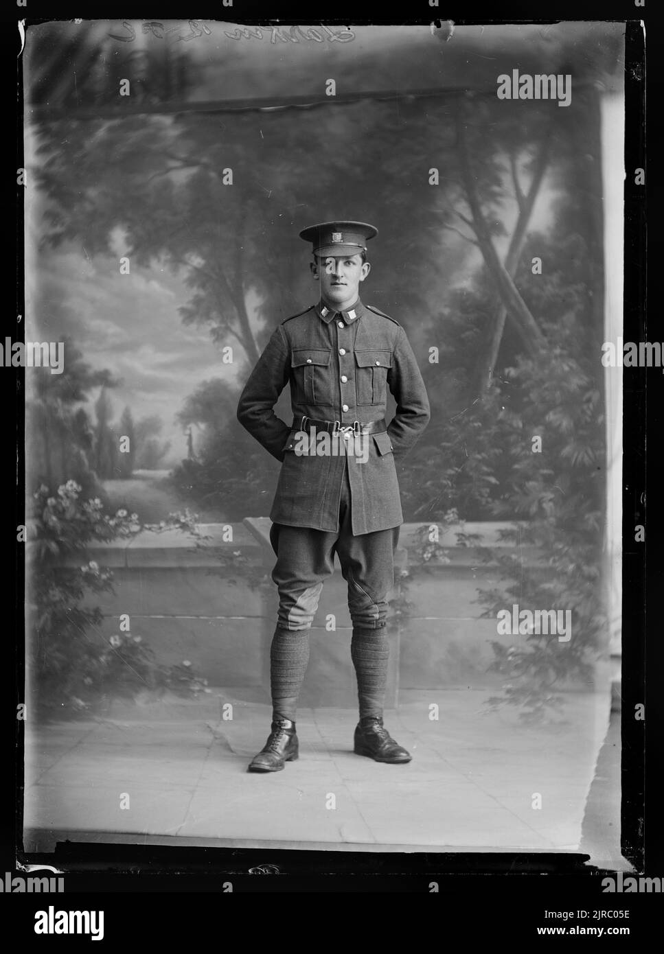 Portrait of William Alexander Larkin, 1918, Wellington, by Berry & Co ...