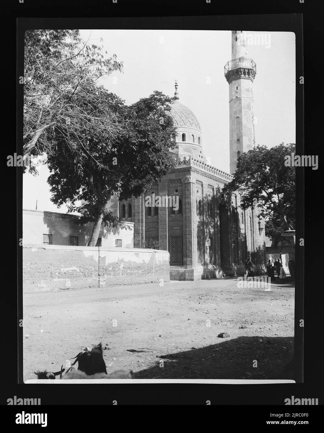 Helmich matarich hi-res stock photography and images - Alamy