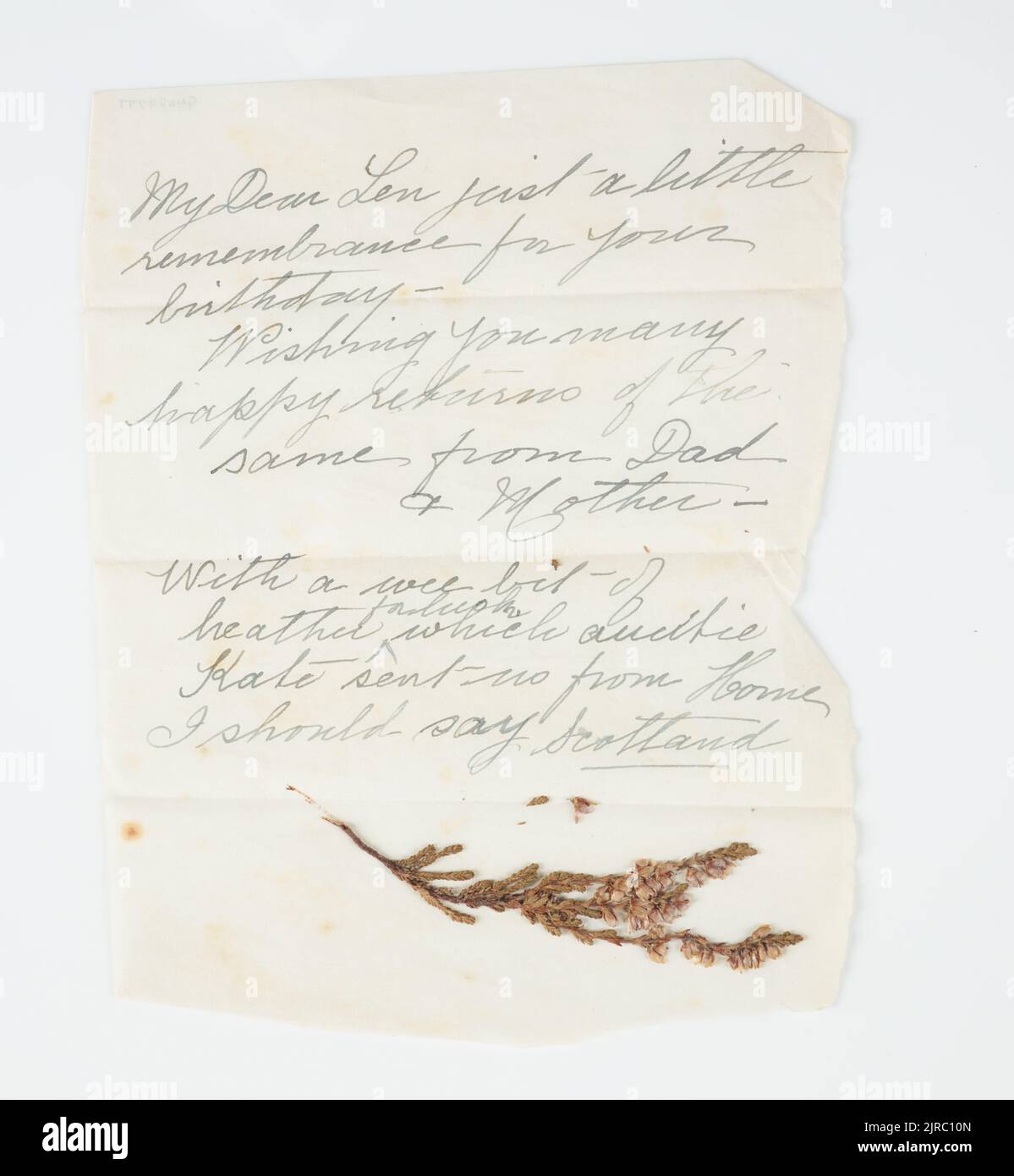 Letter with sprig of heather letter with sprig of heather hi-res stock ...