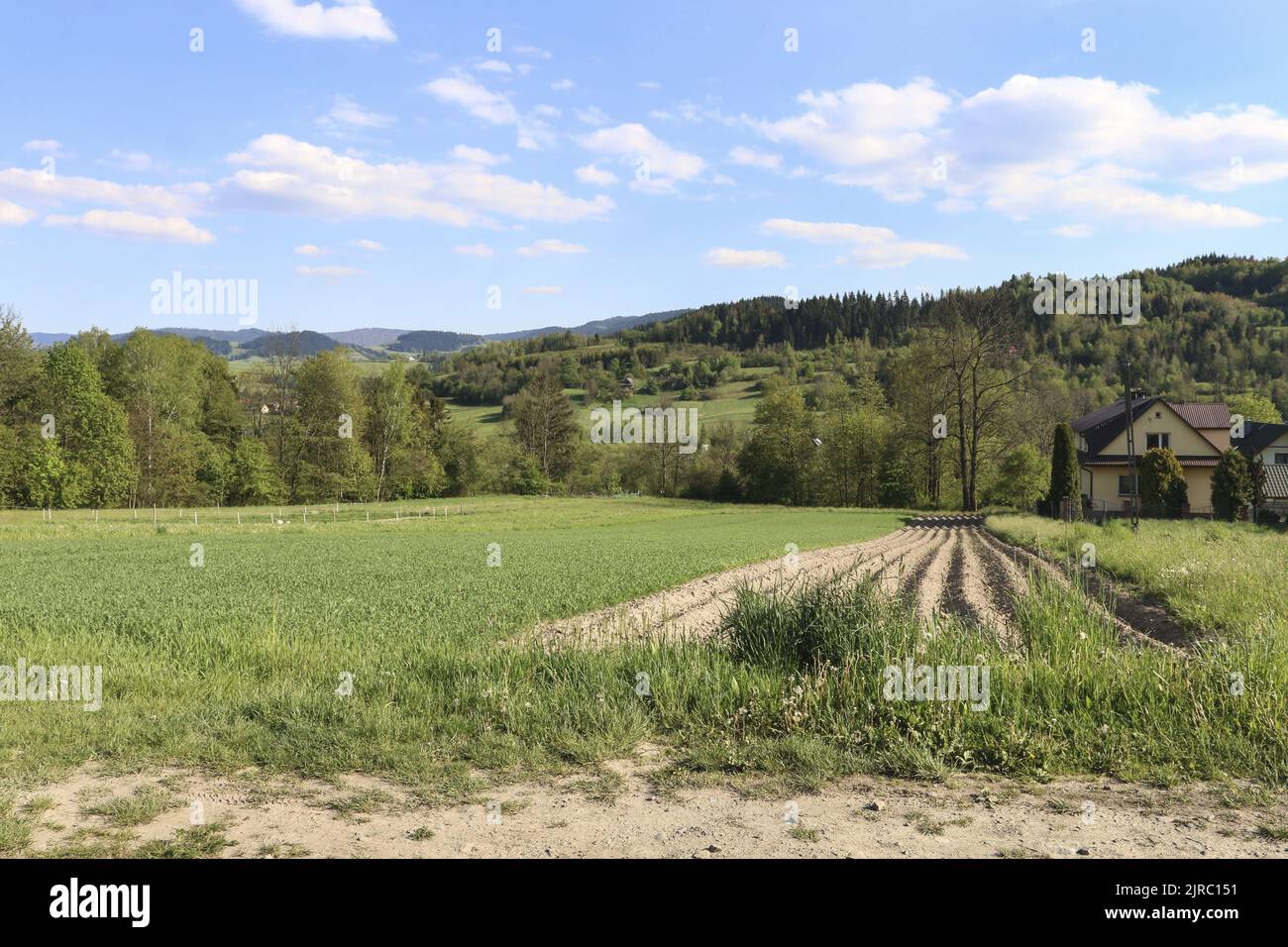 Polish rural landscape with hills. Carpathian mountains Stock Photo - Alamy