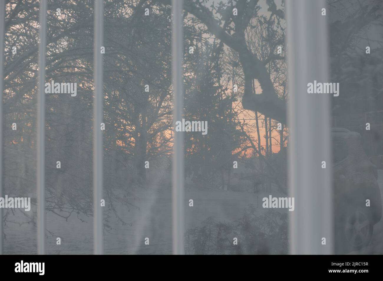 A reflection of a forest at sunset through a window Stock Photo - Alamy