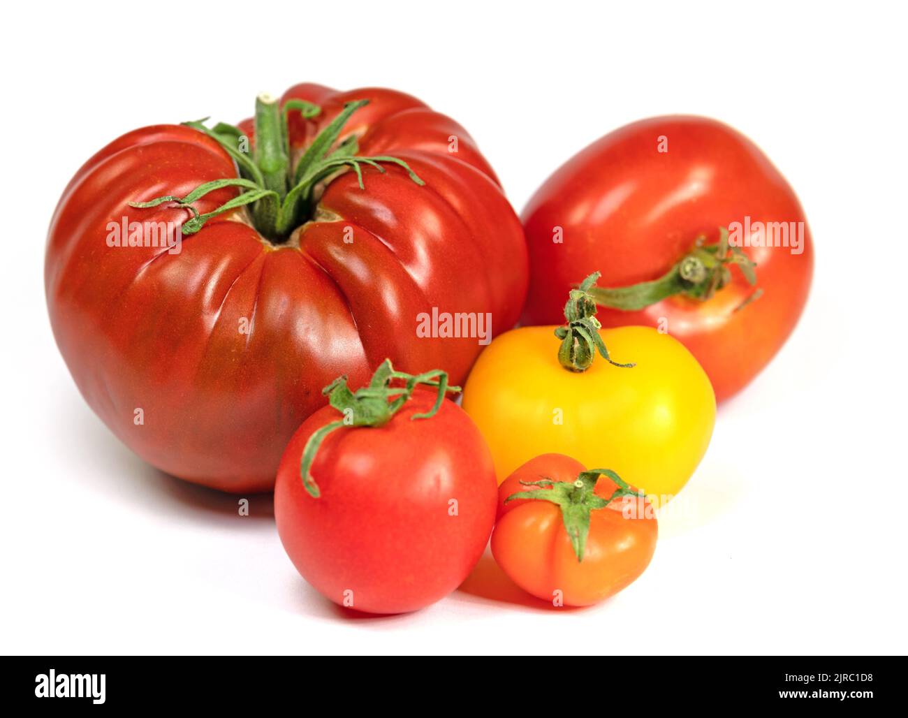 Solanaceae yellow tomatoes Cut Out Stock Images & Pictures - Alamy