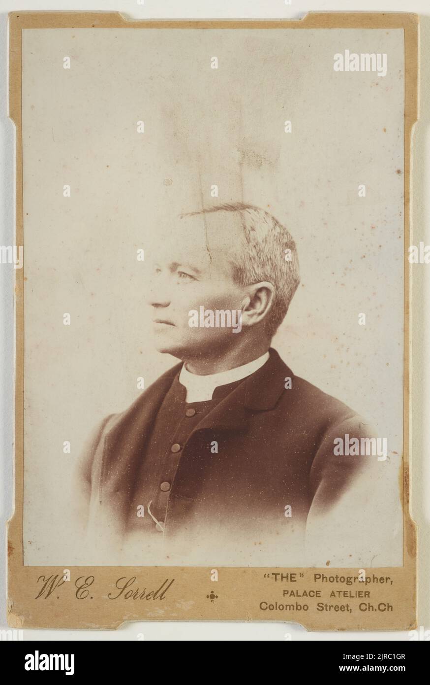 Sorrell hi-res stock photography and images - Alamy