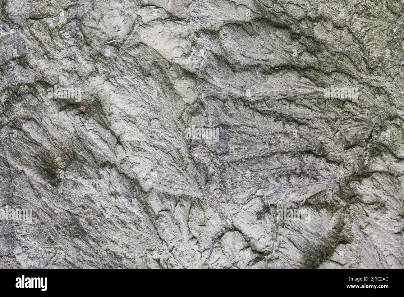 Structure of rock - rough background. Graphic resources Stock Photo - Alamy
