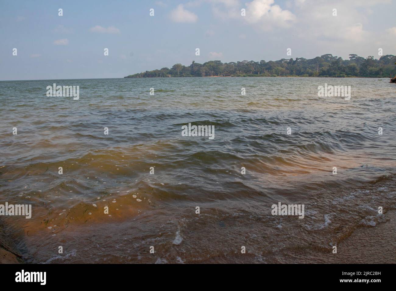 Lake Victoria is Africa's largest lake by area, the world's largest ...