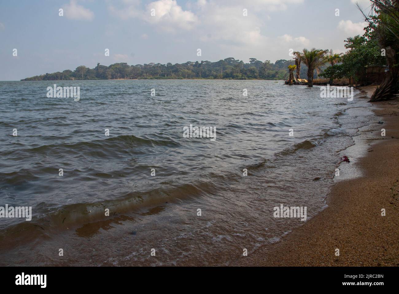 Lake Victoria is Africa's largest lake by area, the world's largest ...