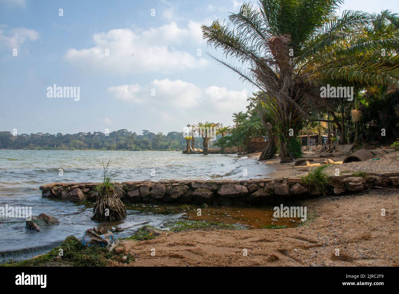 Lake Victoria is Africa's largest lake by area, the world's largest ...
