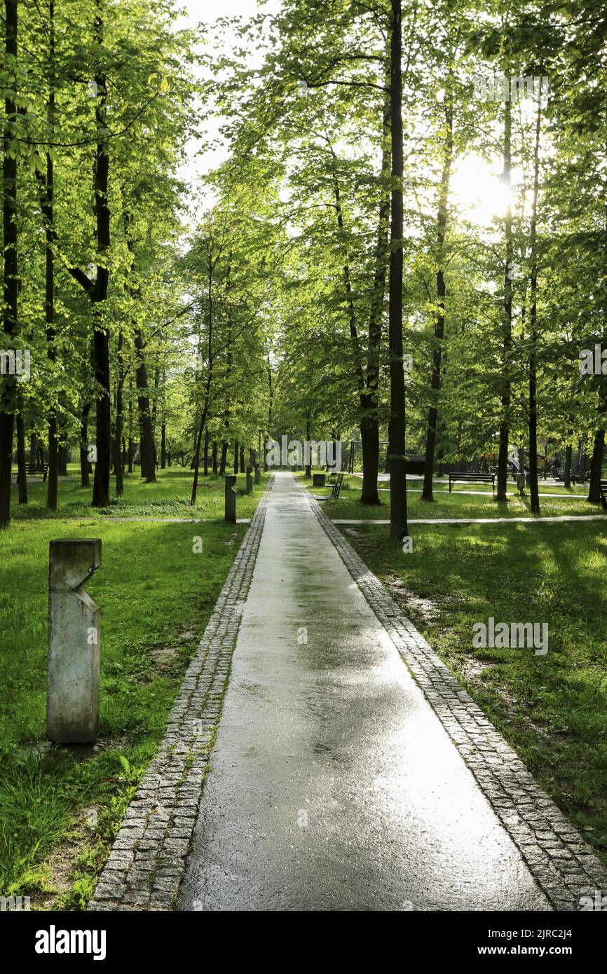 A path in public park. Relax place Stock Photo - Alamy