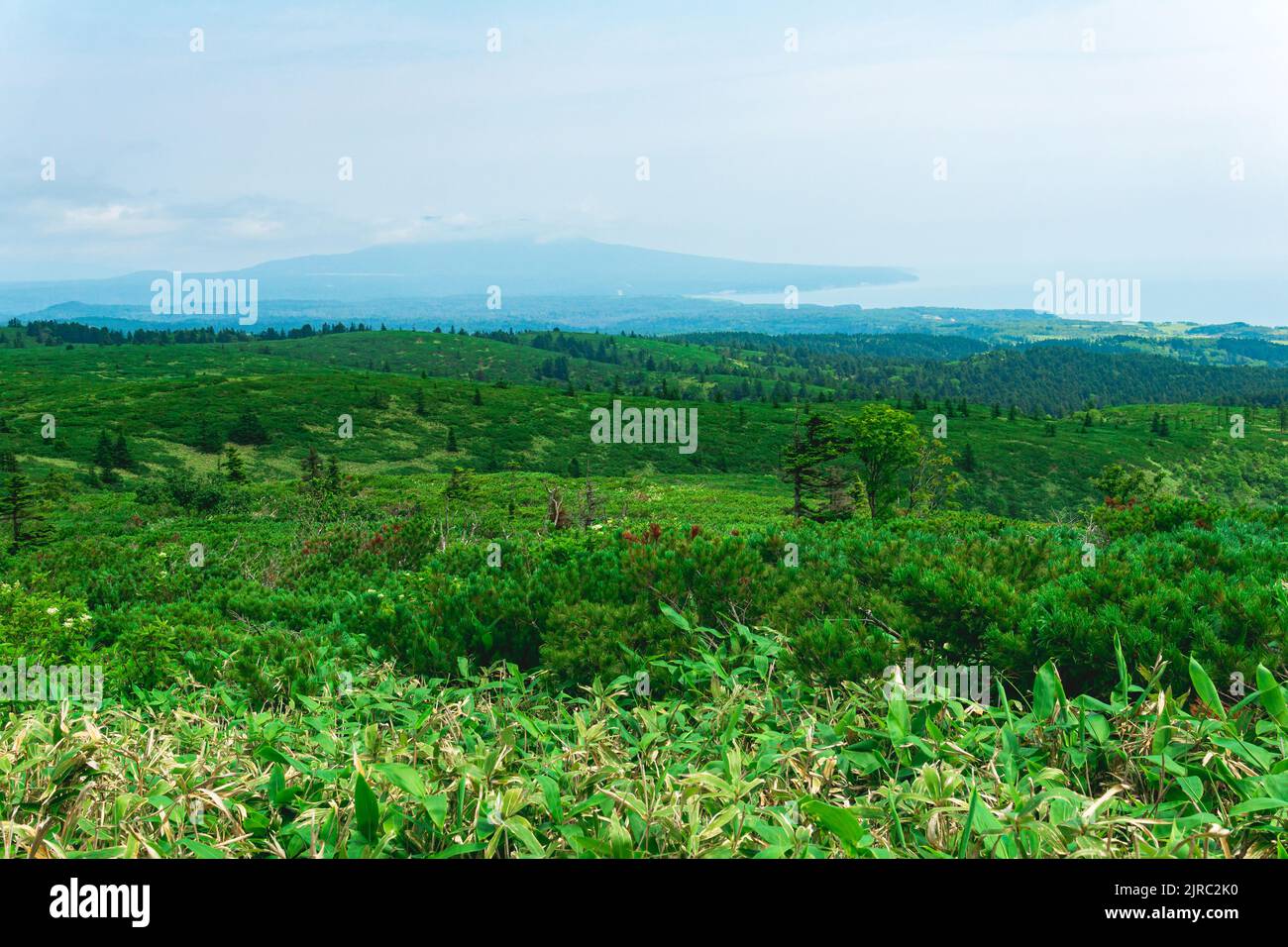 typical landscape of the southern Kuriles, view of Kunashir Island from ...