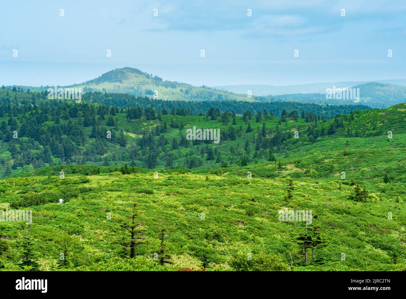 natural South Kuril landscape on the island of Kunashir with light ...