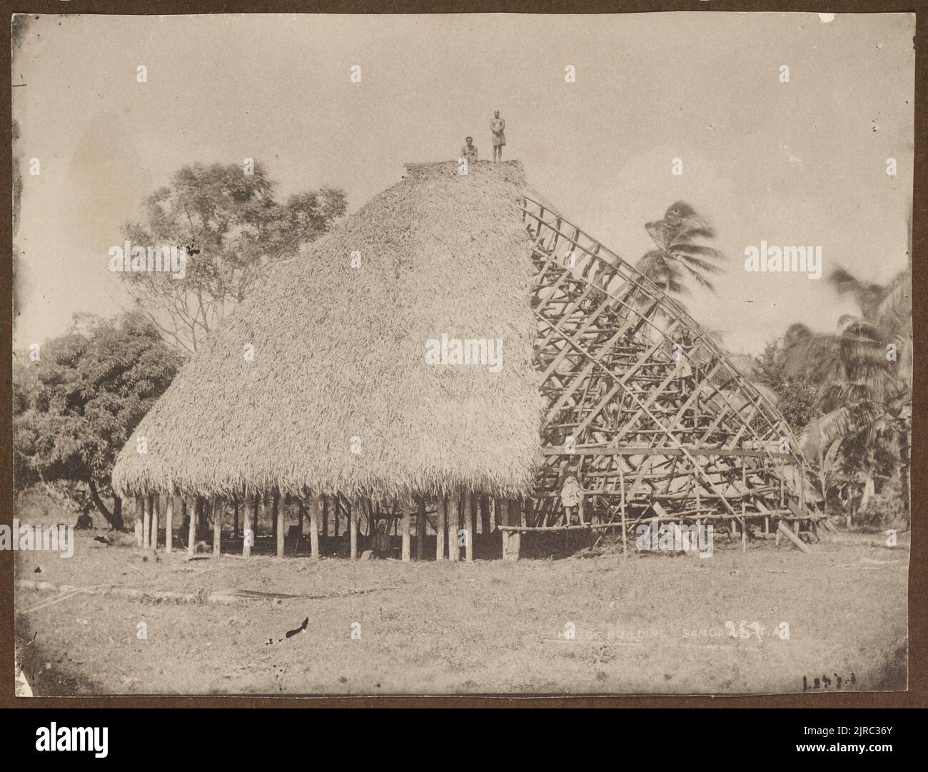 House (fale) building, Samoa. From the album: Samoa, 1890-1910, Sāmoa ...