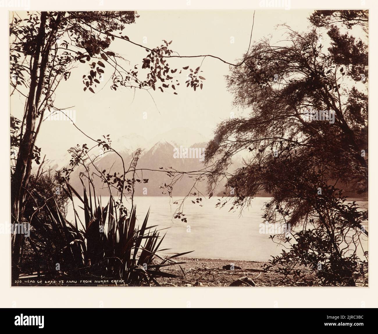 Head of Lake Te Anau from Nurse Creek, circa 1889, Dunedin, by Burton ...