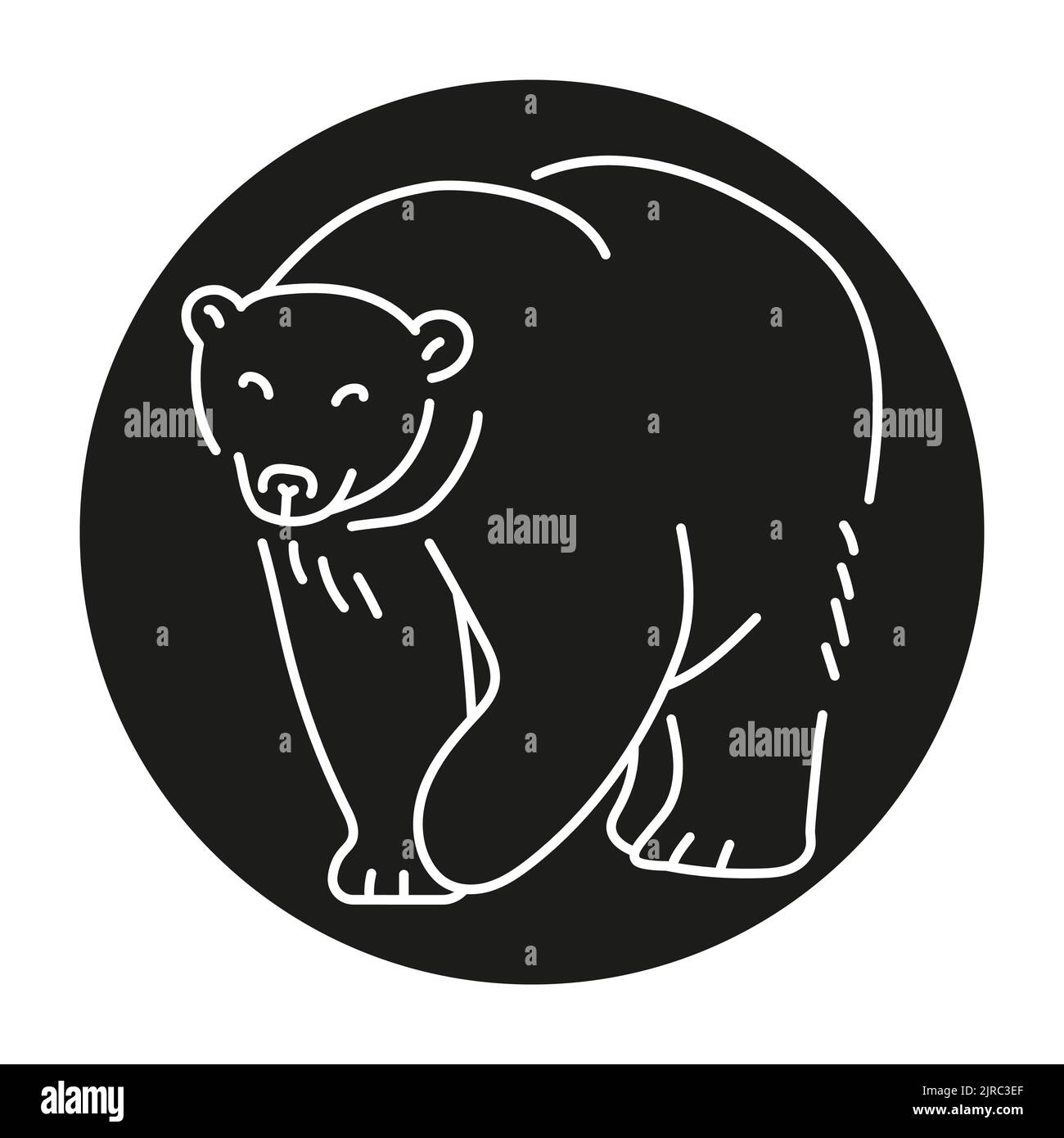 Polar bear color line illustration. Marine mammals Stock Vector Image ...