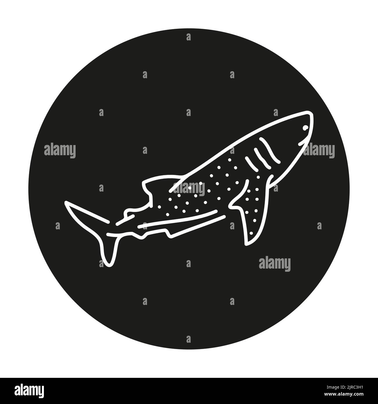 Whale shark color line illustration. Marine mammals Stock Vector Image ...