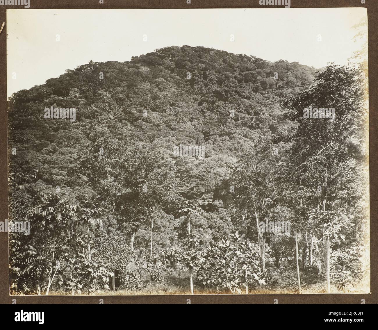 Mount vaea from the album hi-res stock photography and images - Alamy