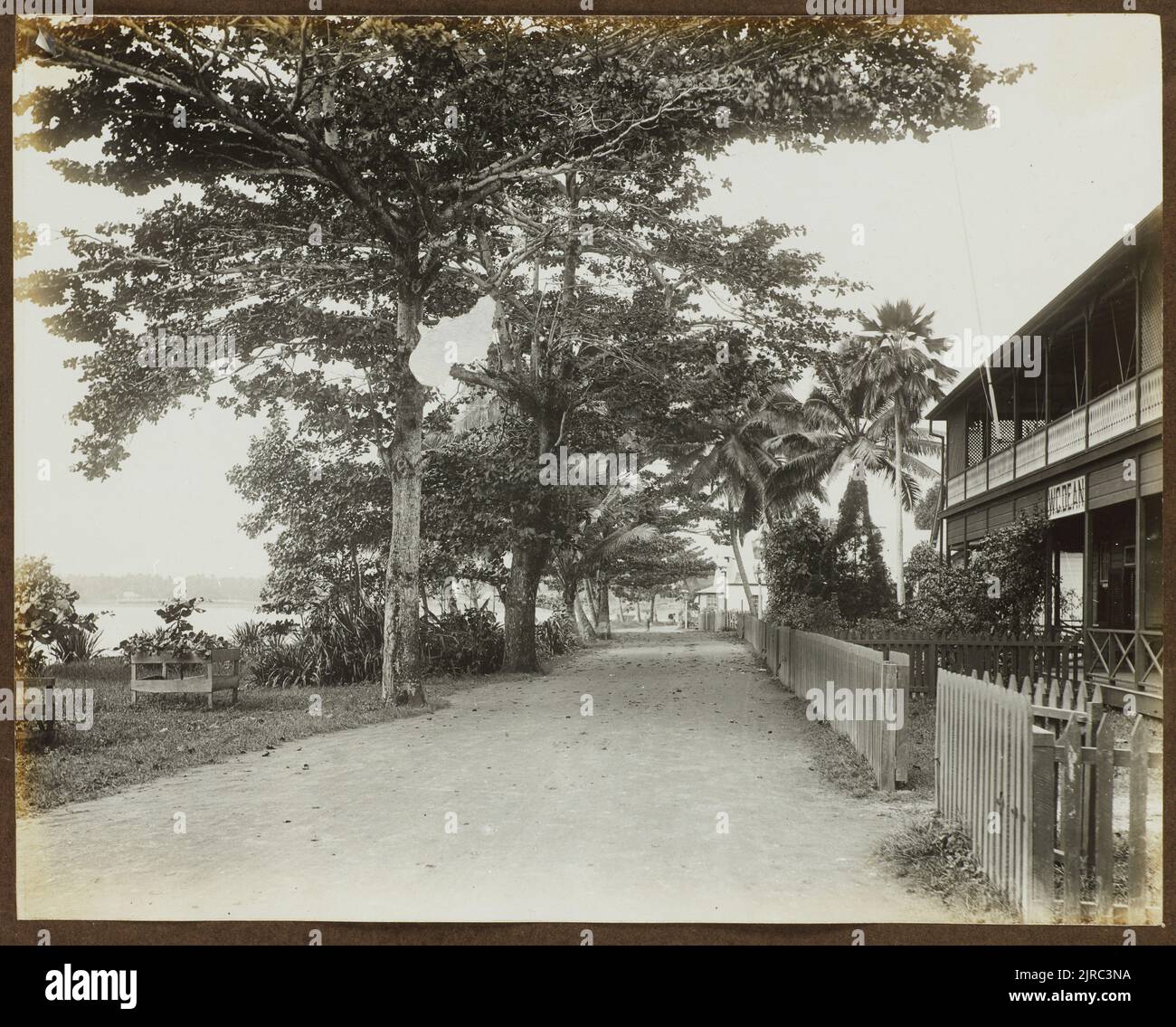 Road and buildings. From the album: Samoa, circa 1918, Sāmoa, by Alfred ...