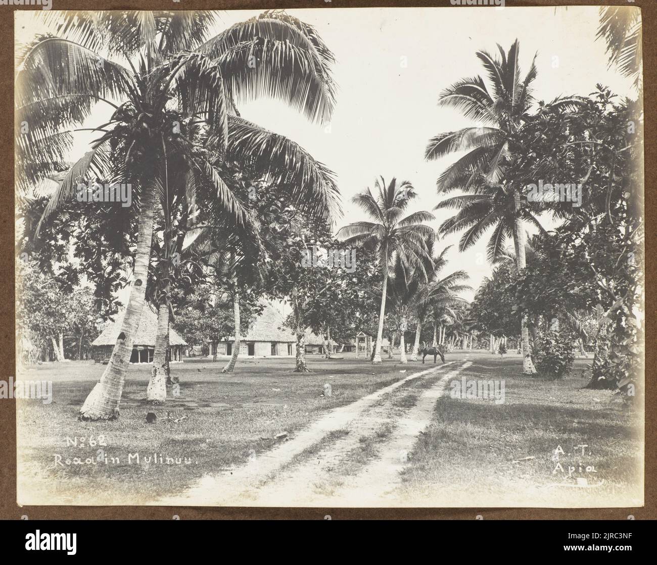 Samoa mulinuu from the album hi-res stock photography and images - Alamy