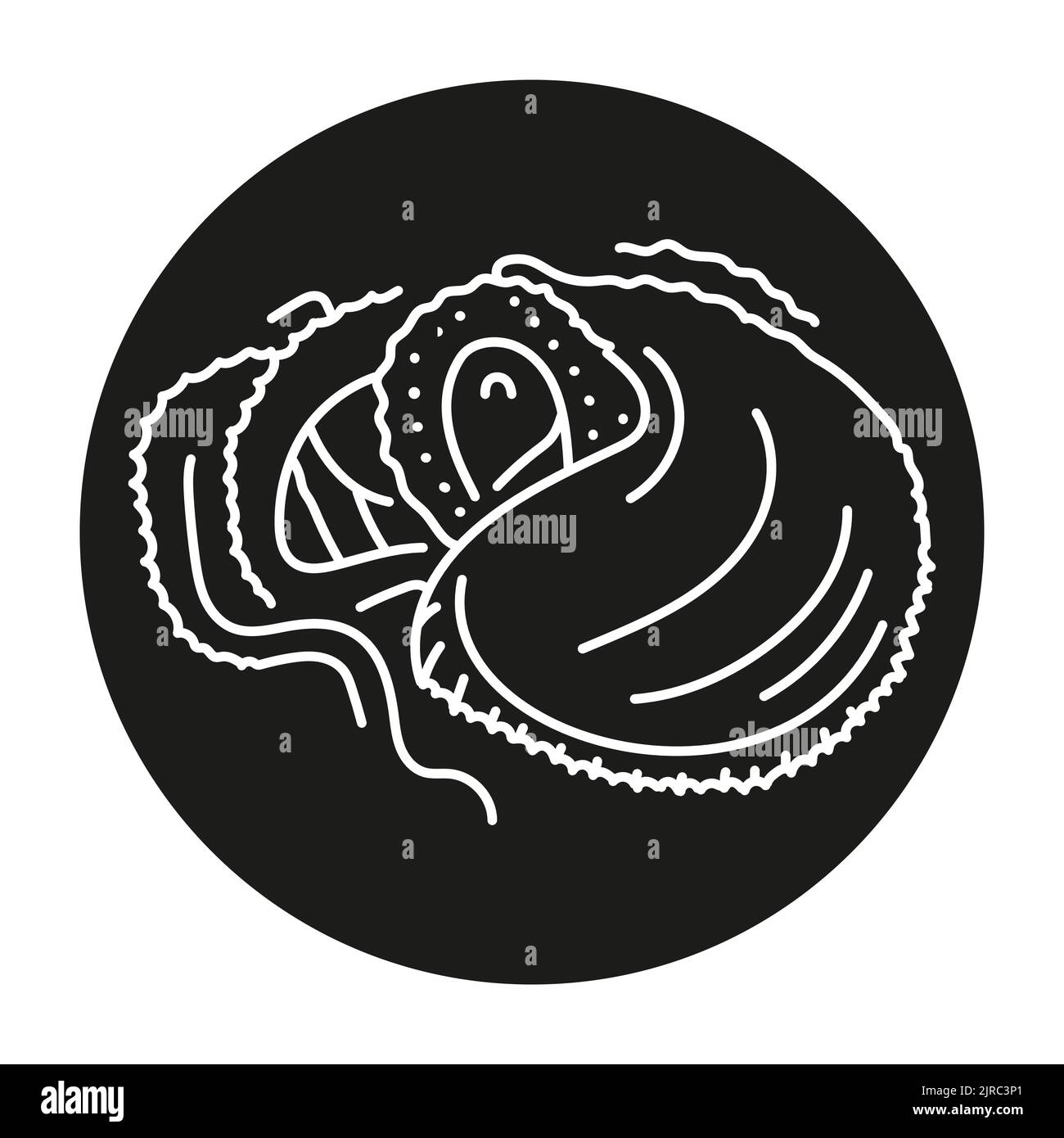 Argonaut color line illustration. Ocean fishes Stock Vector Image & Art ...