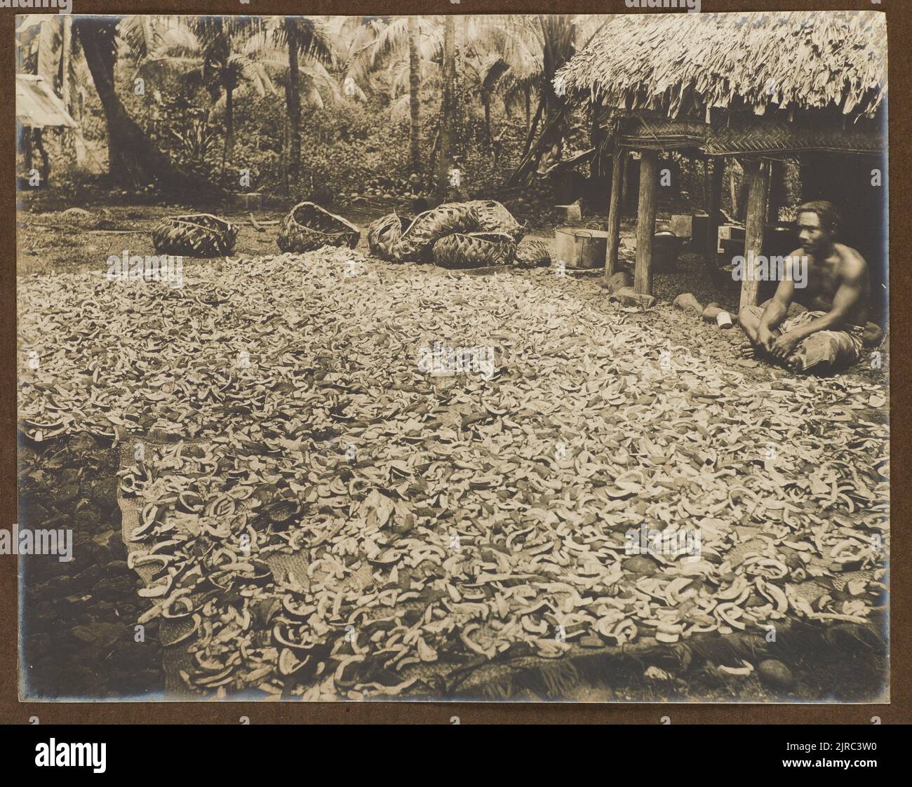 Copra drying from the album hi-res stock photography and images - Alamy