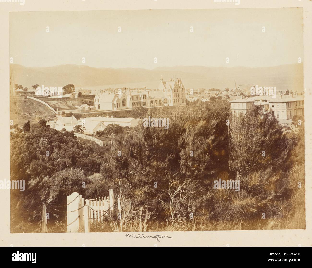 Wellington. From the album: New Zealand album, circa 1880, New Zealand ...