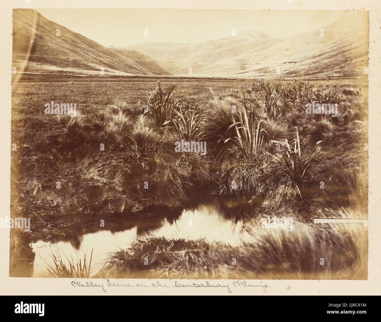 Valley scene on the canterbury plains from the album hi-res stock ...